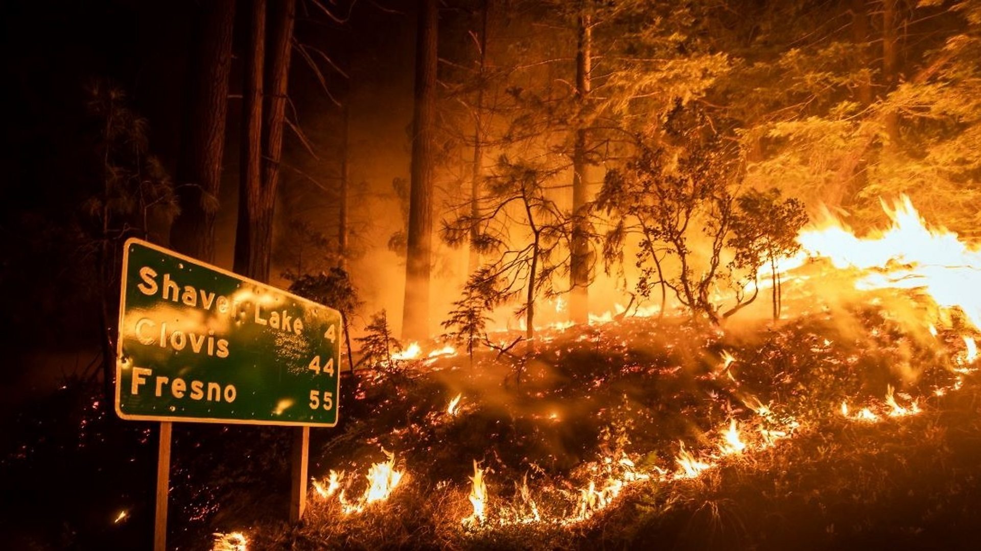 Siberia përfshihet nga zjarret, digjen mbi 1 milionë hektarë pyje ...